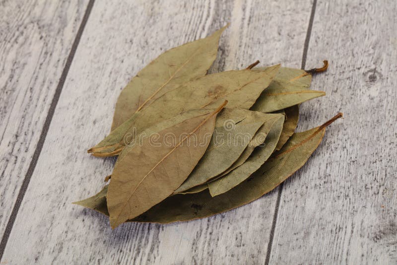 Dry laurel leaves stock image. Image of nature, seasoning - 146439143