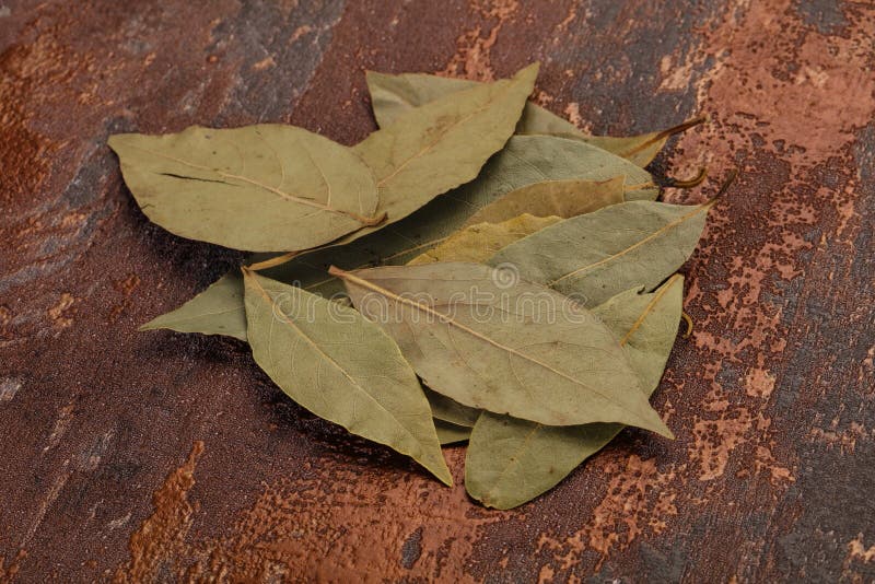 Dry laurel leaves stock photo. Image of aromatic, herbal - 153706910