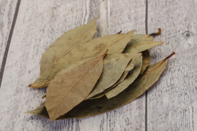 Dry laurel leaves stock photo. Image of ingredient, condiment - 154064720