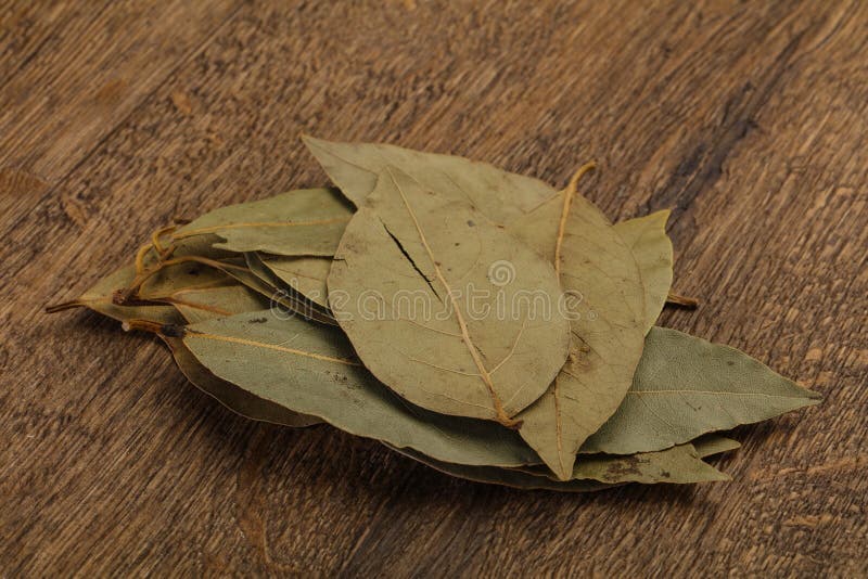Dry laurel leaves stock photo. Image of leaf, paper - 182474170
