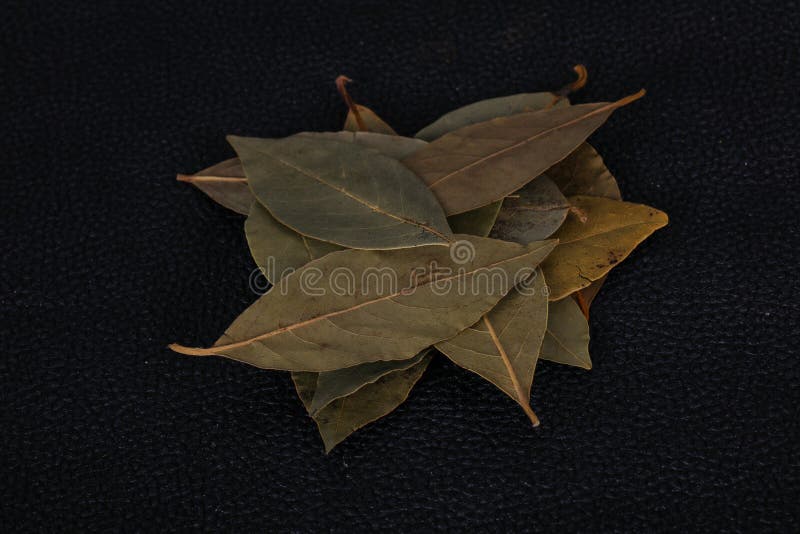 Dry laurel leaves stock photo. Image of paper, aromatic - 195829132