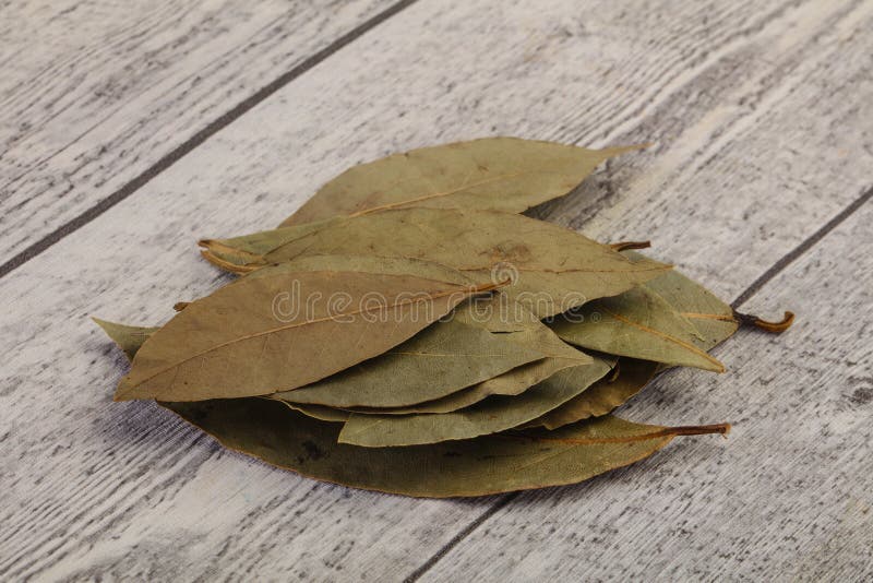 Dry laurel leaves stock photo. Image of aromatic, closeup - 199753982