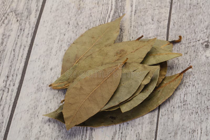 Dry laurel leaves stock photo. Image of flavor, food - 202805158