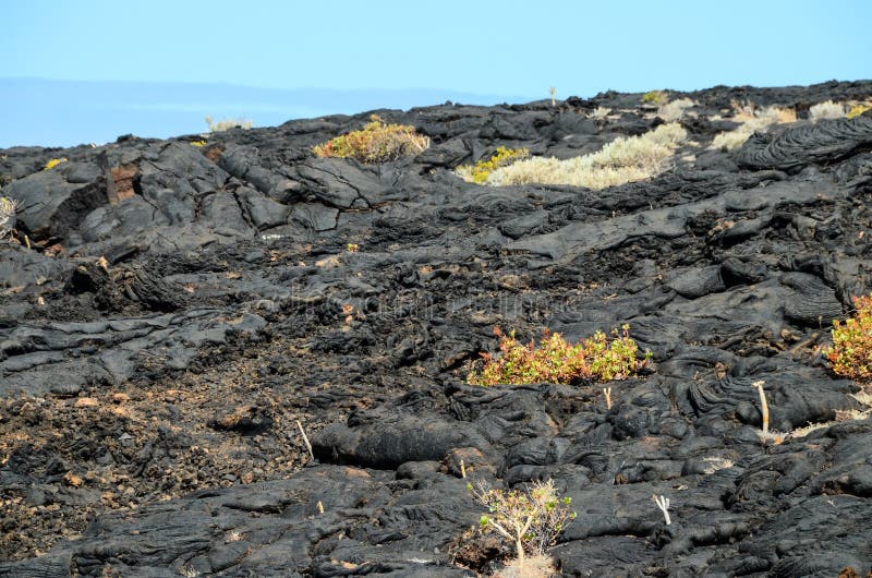 Dry Lava Texture stock photo. Image of lava, island, canry - 47269830