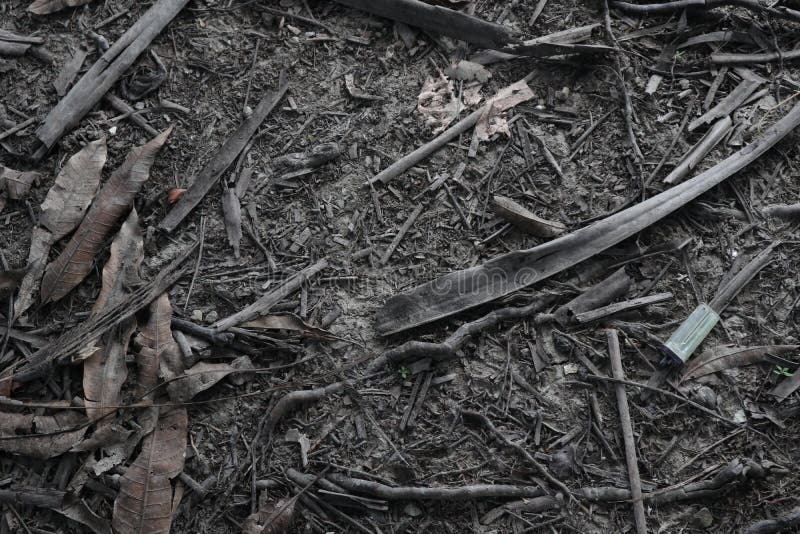 Dry Leaf Background. Dry Leaves Stock Photo - Image of autumn, dried ...