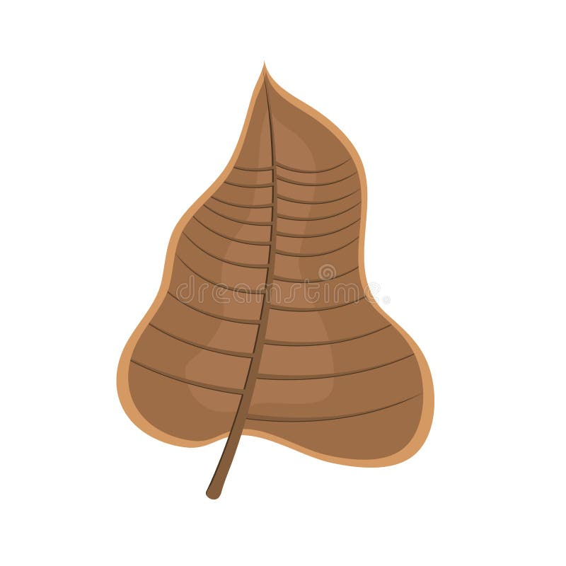 Dry leaf icon stock vector. Illustration of decorative - 237450388