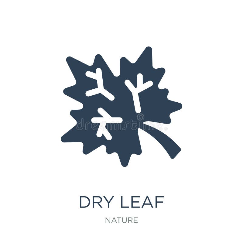 Dry Leaf Icon in Trendy Design Style. Dry Leaf Icon Isolated on White ...