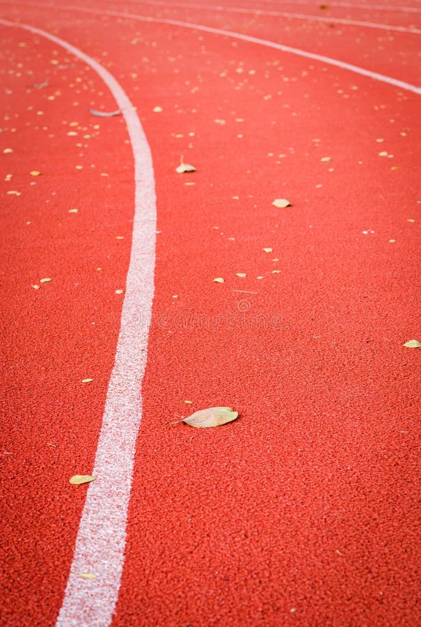 Dry leaf on runing track stock photo. Image of racetrack - 55638276