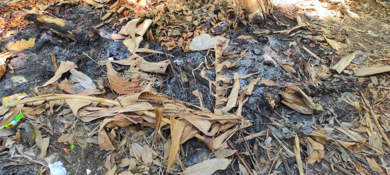Dry Leaf Waste that Was Burned and Visible Traces of Burning Ash Stock ...