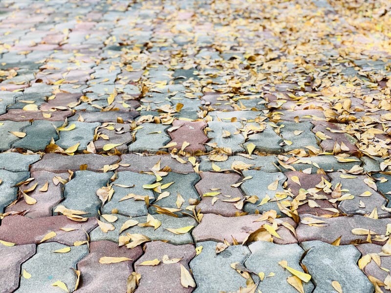 Dry Leaves Fall on the Floor, Brick Work. Stock Image - Image of ...