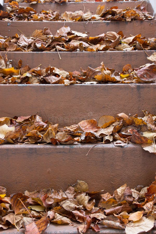 Dry Leaves during the Fall on the Steps of a Stair Stock Image - Image ...