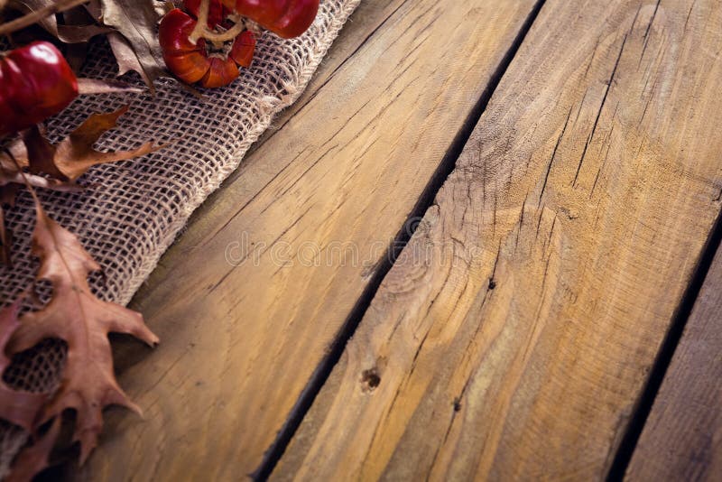 Dry Leaves and Mistletoe on Wooden Plank Stock Photo - Image of copy ...
