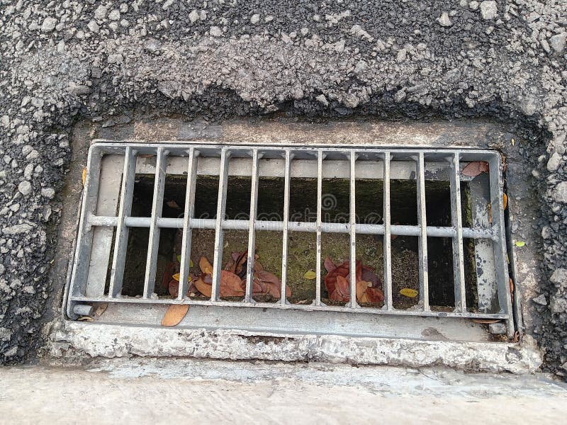 Dry Leaves in a Roadside Culvert Stock Image - Image of leaves, trapped ...