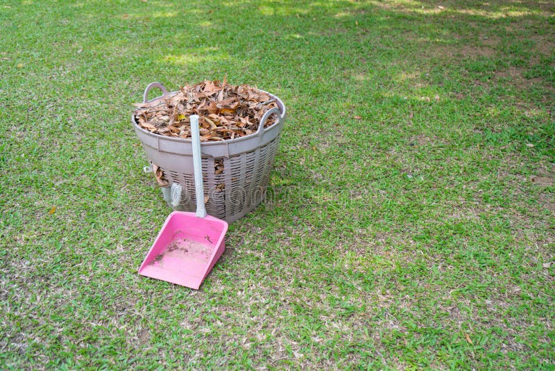 Dry leaves in trash stock image. Image of garbage, grass - 73066461