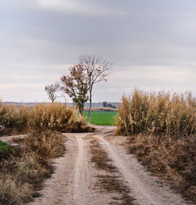 587 Path Leads To Life Stock Photos - Free & Royalty-Free Stock Photos ...