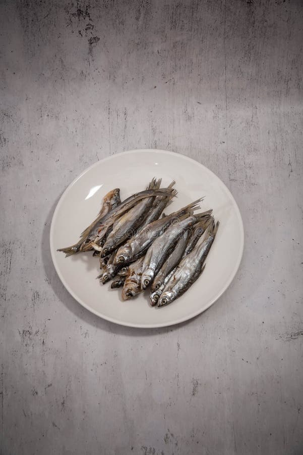 Little fish stock image. Image of fishes, south, tiny - 45198297