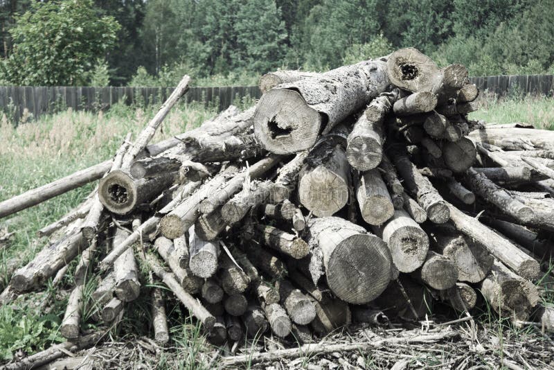 Dry logs heap stock image. Image of nature, firewood - 77974763