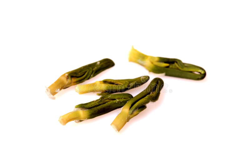 Dry lotus core stock image. Image of hard, cake, grain - 66110687