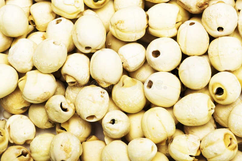 Dry lotus seed close-up stock photo. Image of asian, healthy - 34479934