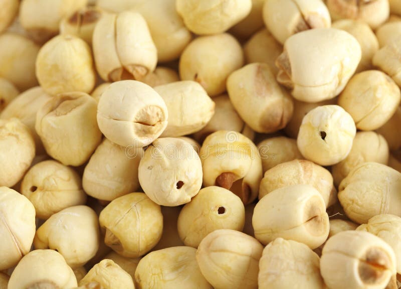 Dry lotus seed stock image. Image of agriculture, seed - 30584445