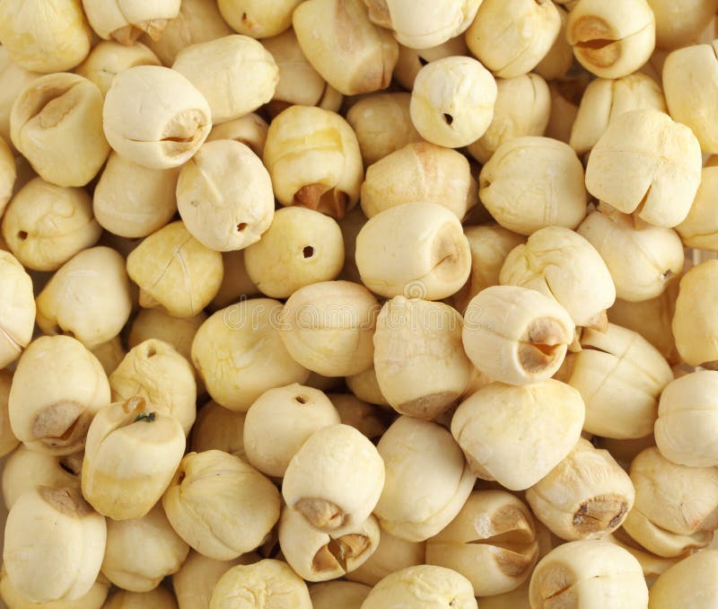 Dry lotus seed stock photo. Image of asian, vegetable - 30915710