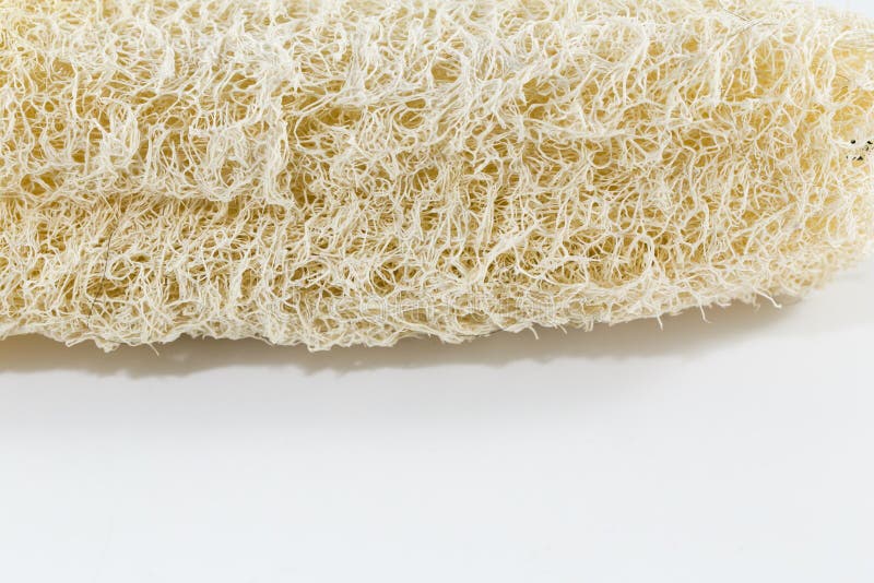 Dry Luffa, luffa sponge stock image. Image of healthy - 107235191