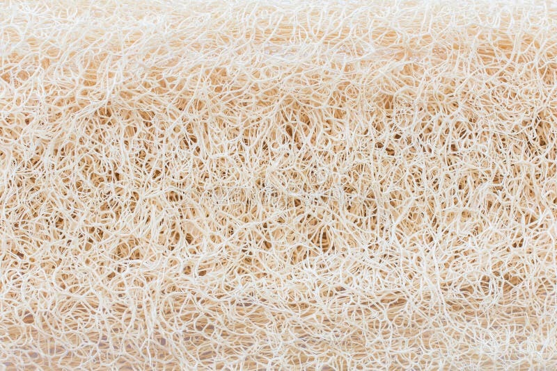 Dry Luffa, Luffa Sponge Textured Stock Image - Image of aesthetics ...