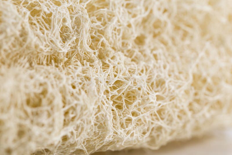 Dry Luffa stock image. Image of natural, cylindrica, sponge - 54112367