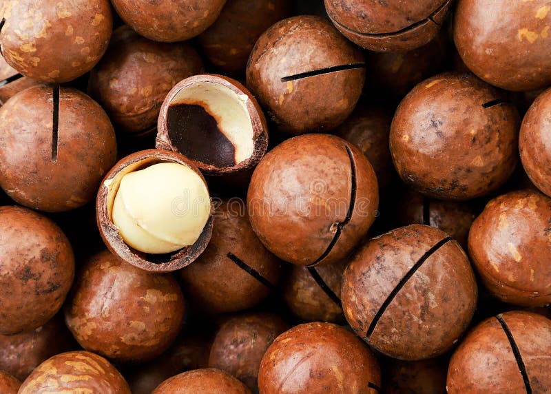 Dry Macadamia Nuts Unpeeled and Peeled, Background. the View of the Top ...