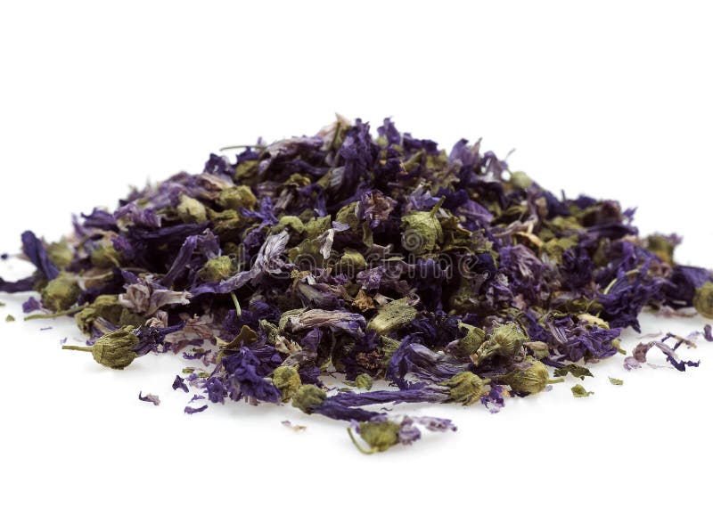 Dry Mallow Flower for Infusion Stock Photo - Image of mallow, herb ...