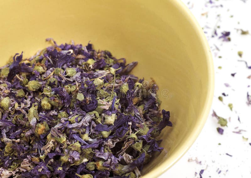 DRY MALLOW FLOWER for INFUSION Stock Photo - Image of mallow, crockery ...