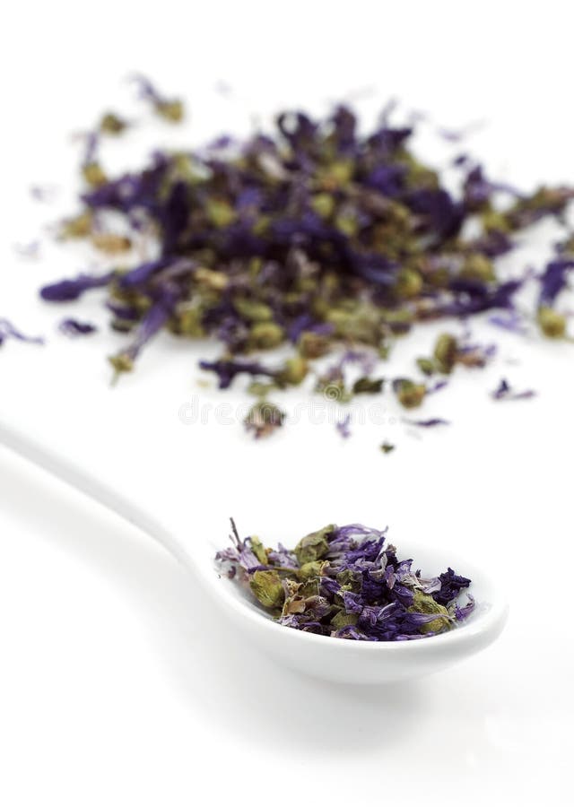 DRY MALLOW FLOWER for INFUSION Stock Photo - Image of botany, studio ...