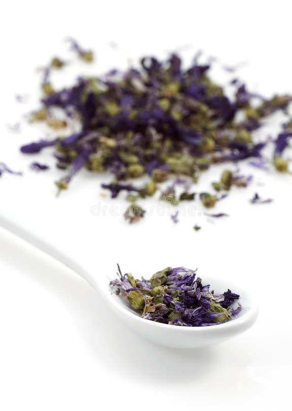 Dry Mallow Flower for Infusion Stock Photo - Image of botany, studio ...