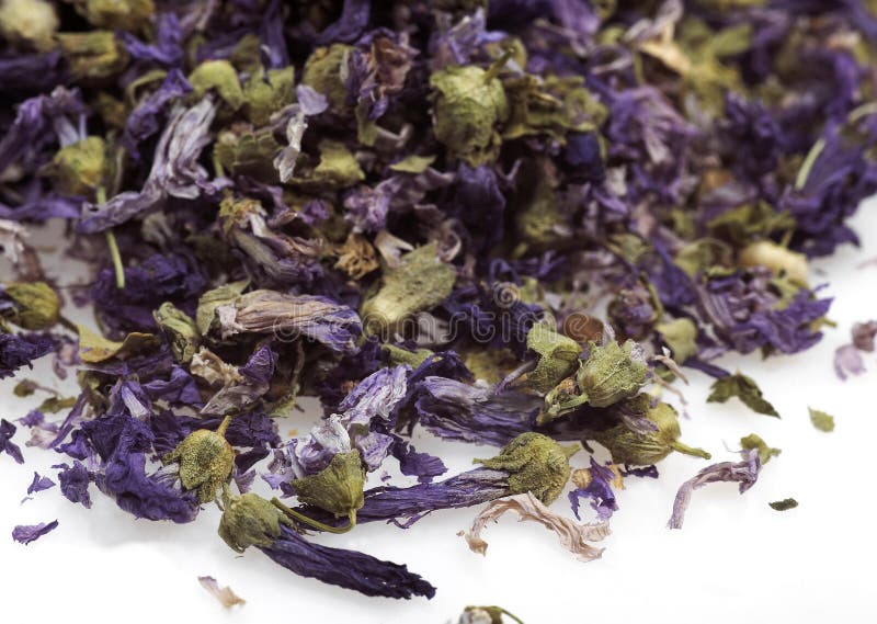 Dry Mallow Flower for Infusion Stock Image - Image of drink, herb ...