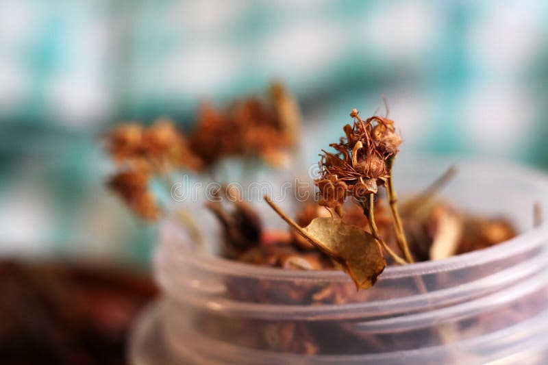 Dry Medicinal Grass in a Jar, Macro Stock Photo - Image of harvest ...