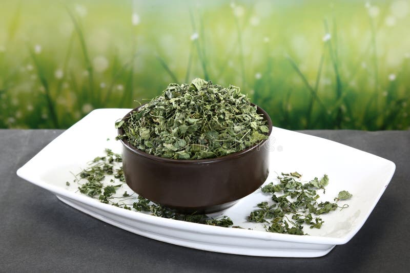 Dry Methi or Dry Fenugreek or Kasurimethi Stock Image - Image of ...