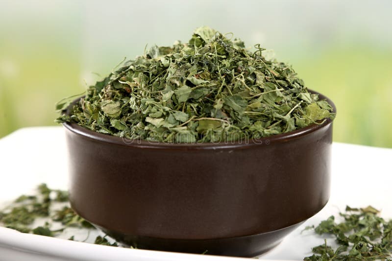 Dry Methi or Dry Fenugreek or Kasurimethi Stock Image - Image of ...