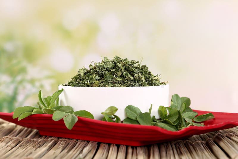 Dry Methi or Dry Fenugreek or Kasurimethi Stock Image - Image of ...