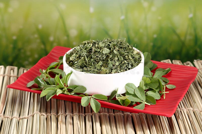 Dry Methi or Dry Fenugreek or Kasurimethi Stock Photo - Image of ...
