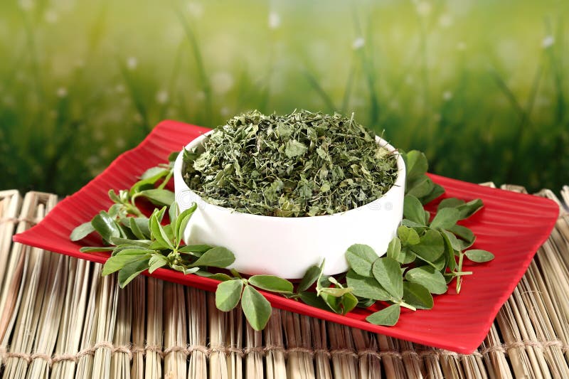 Dry Methi or Dry Fenugreek or Kasurimethi Stock Image - Image of jute ...