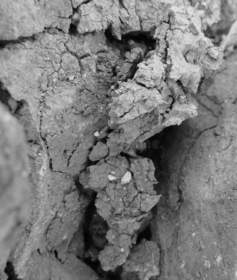 Dry mire stock image. Image of brown, mineral, ground - 104799623