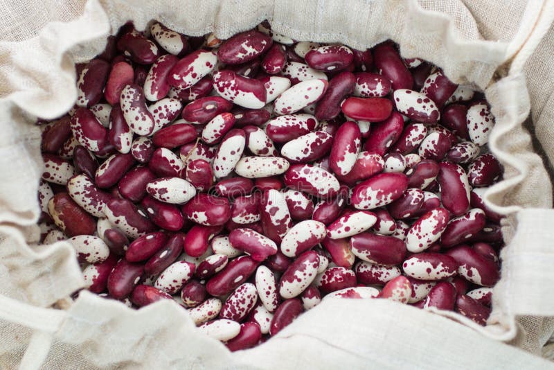 Dry mottled beans stock photo. Image of legume, food - 52782384