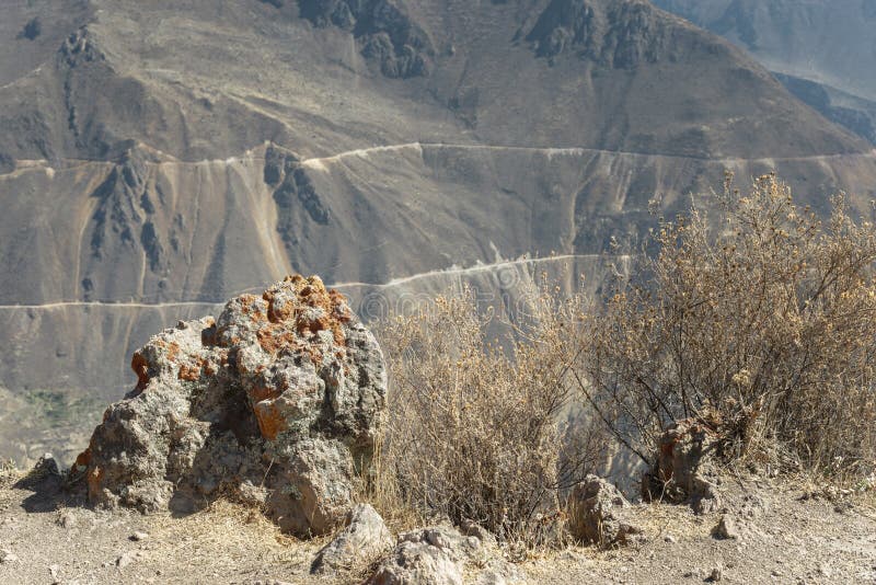 Dry mountain landscape stock photo. Image of desert - 147737982