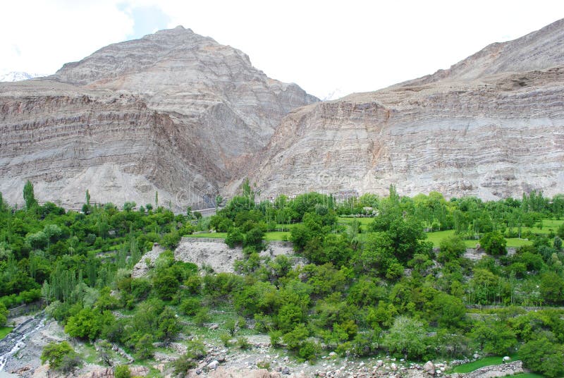 Dry Mountains And Greenery In Ladakh Stock Photo - Image of green ...