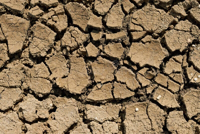 Dry mud stock photo. Image of terrain, summer, dryness - 17759872