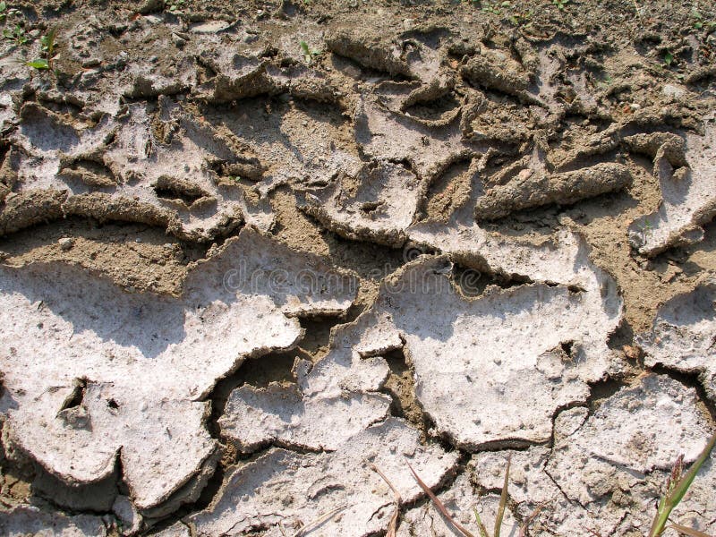 Dry Mud Picture. Image: 2062827