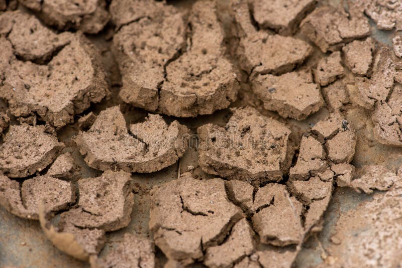 Dry Mud stock photo. Image of geology, natural, drought - 184572522