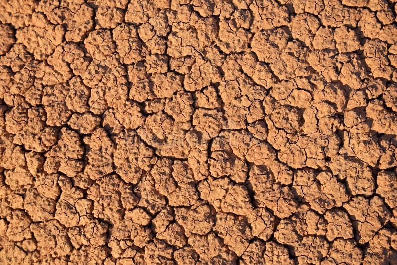 Cracked Ground Desert