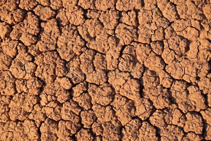 Dry Mud Texture