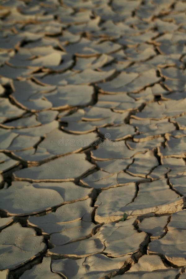 Dry mud cracks stock photo. Image of brown, waterless - 4784468